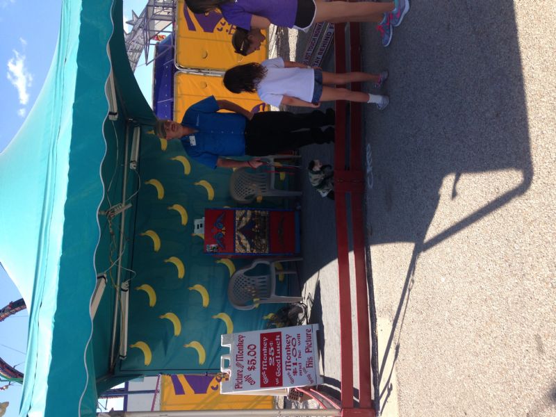 Primate Store - Monkeys for sale