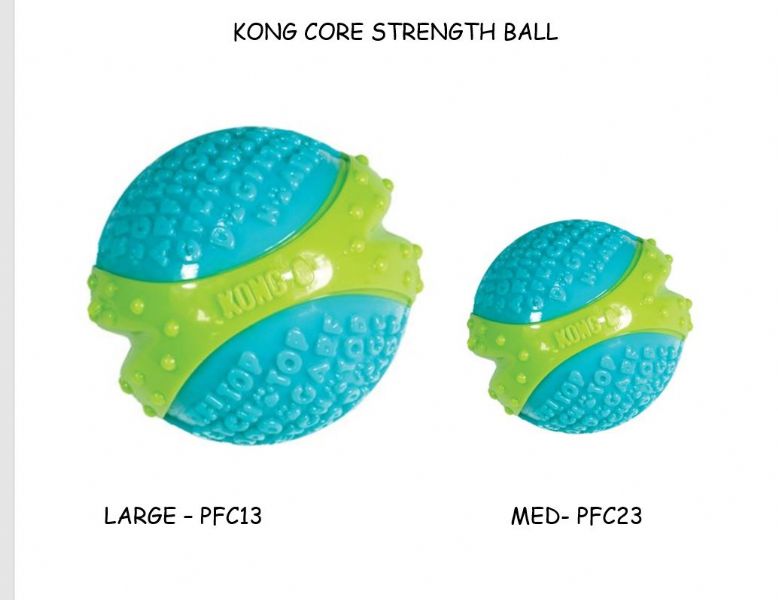 Primate Store - KONG CORE STRENGTH BALL