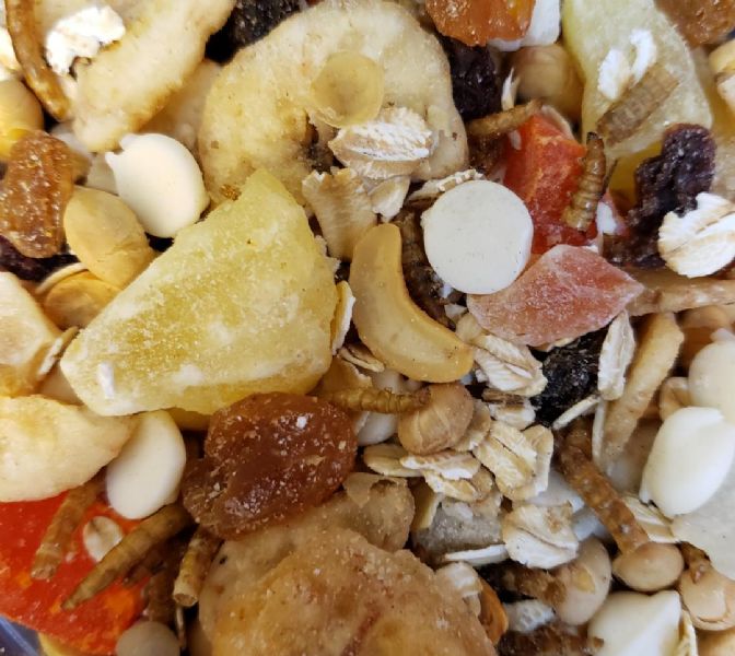 Primate Store - Foraging Mix