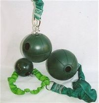 Primate Store - Over 600 Primate Related Products