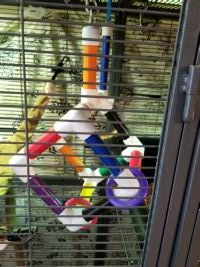 Primate Store - Over 600 Primate Related Products