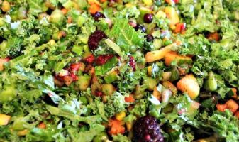 Primate Store - Primate Diets