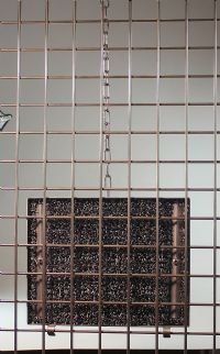 Primate Store - Foraging Tray